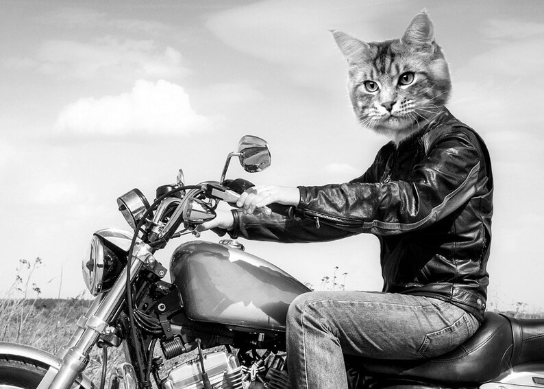 Custom Motorcycle Rider Pet Portrait | Etsy