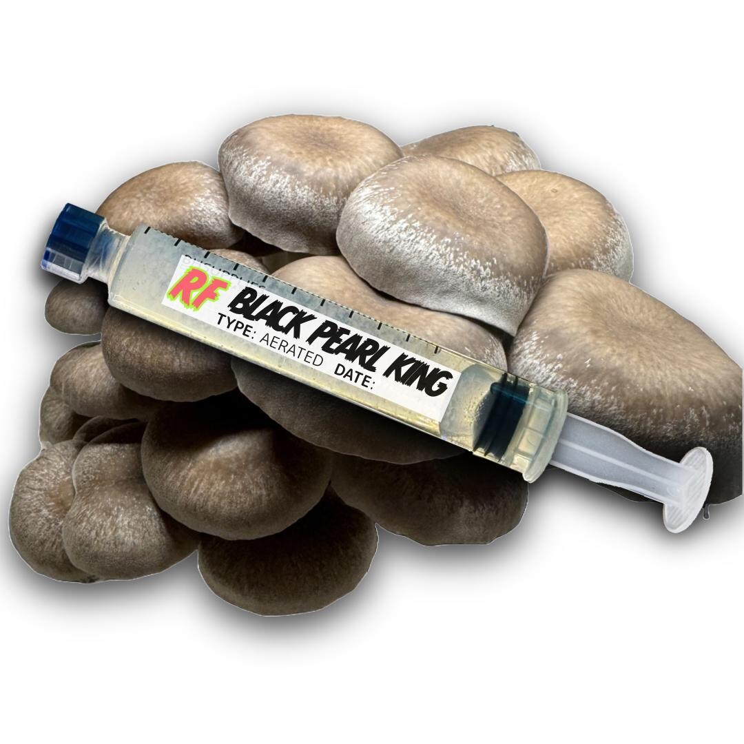 Organic Black Pearl King Aerated Liquid Culture Syringe Kit (pleurotus ...