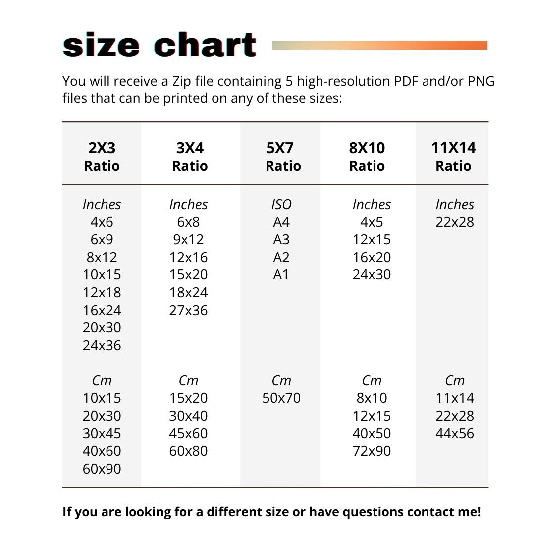 Scott Street Phoebe Bridgers Lyrics Poster, Orange Flower Sketch, Song ...