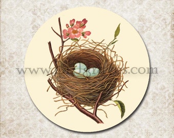 Nest Stickers - Etsy