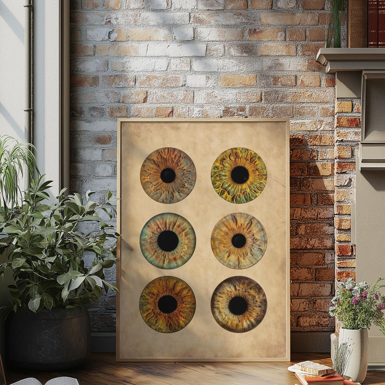 Vivid Iris Collection Human Eye Illustrations in Diverse Colors ...