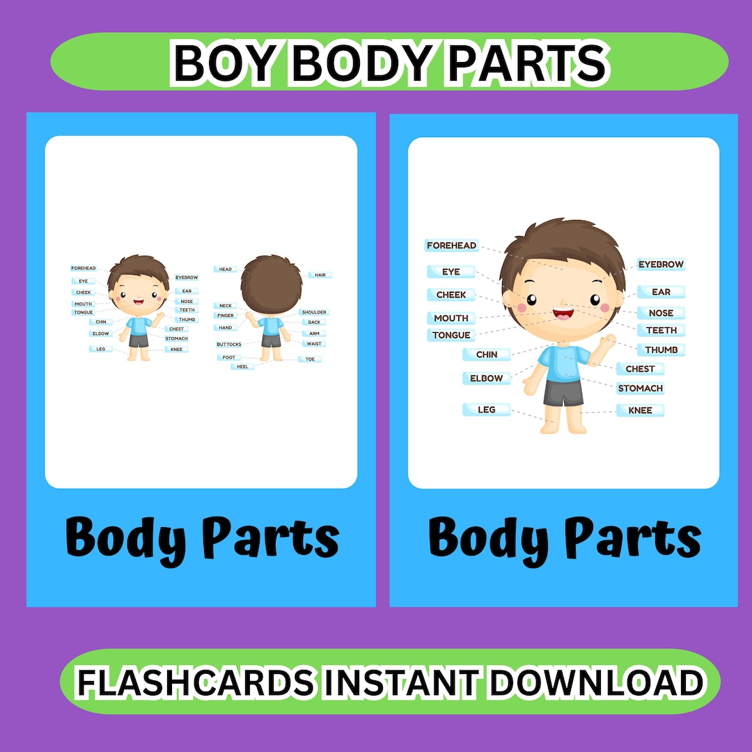 Boy Body Parts Flashcards for Kids Learning Body Part for Kids ...