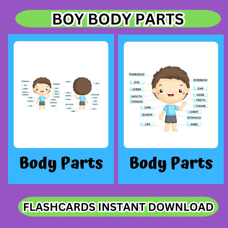 Boy Body Parts Flashcards for Kids Learning Body Part for Kids ...