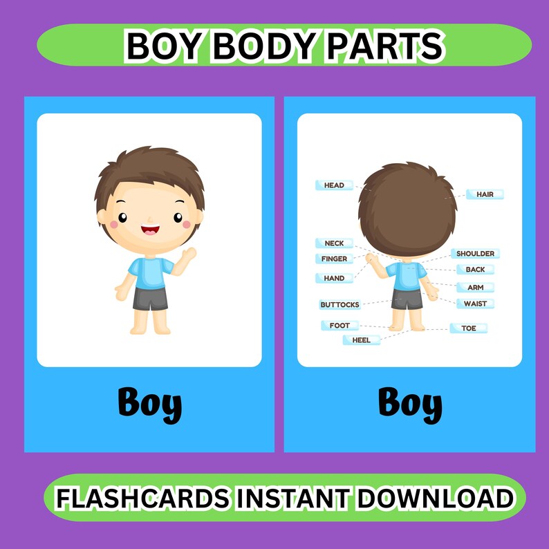 Boy Body Parts Flashcards for Kids Learning Body Part for Kids ...