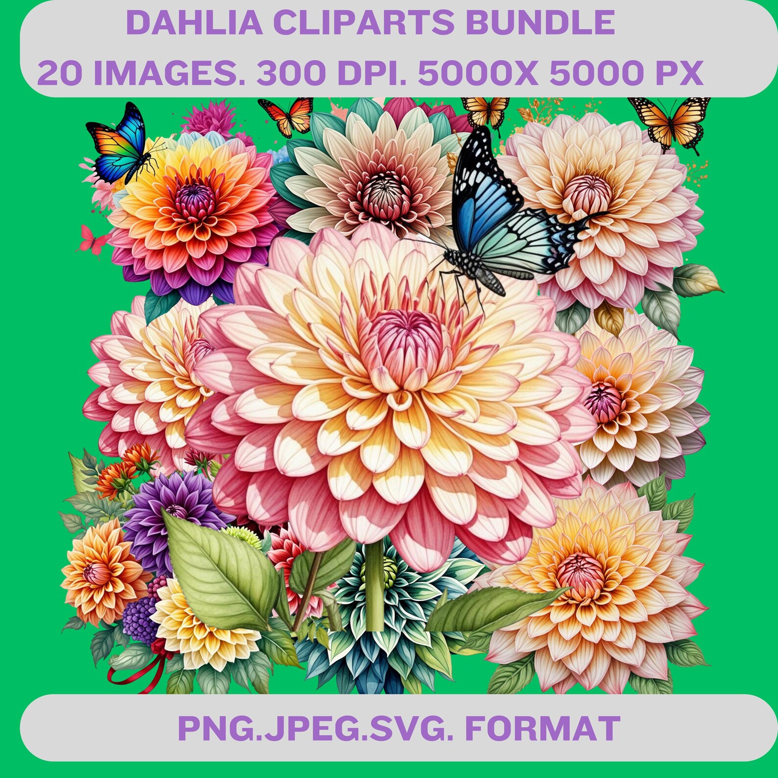 Dahlia Clipart Dahlia Flowers Dahlia PNG Dahlia SVG Dahlia JPEG Flower ...