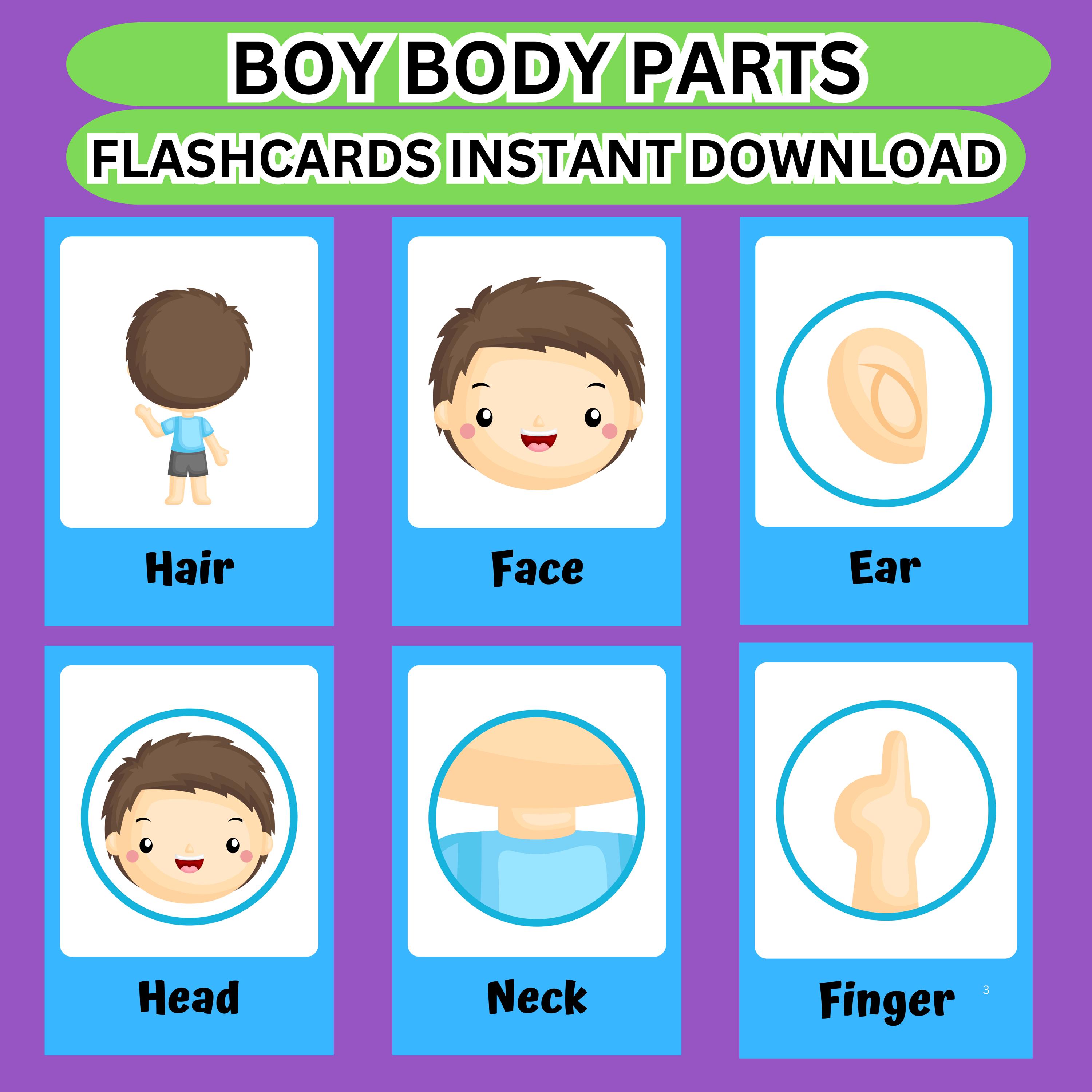 Boy Body Parts Flashcards for Kids Learning Body Part for Kids ...