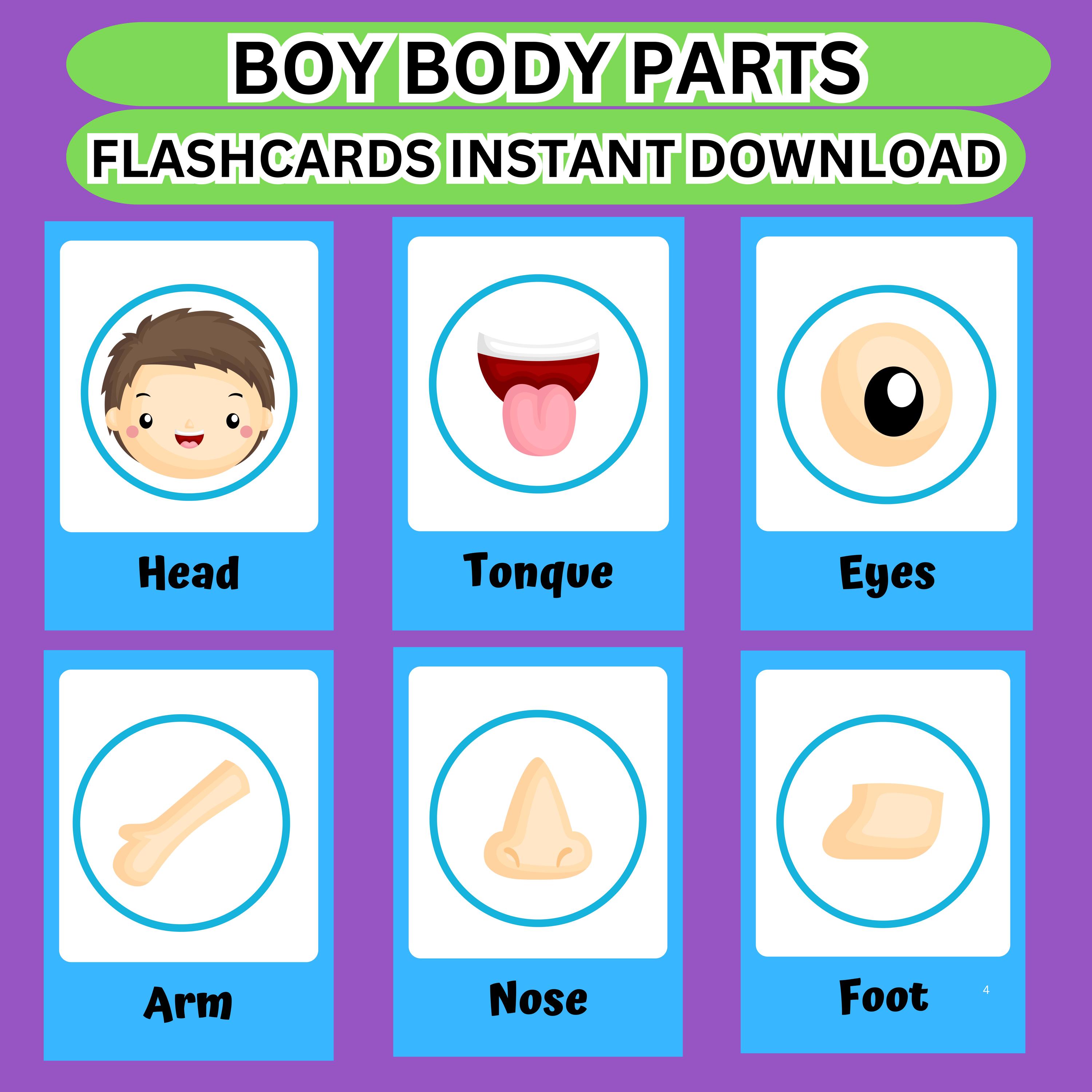 Boy Body Parts Flashcards for Kids Learning Body Part for Kids ...
