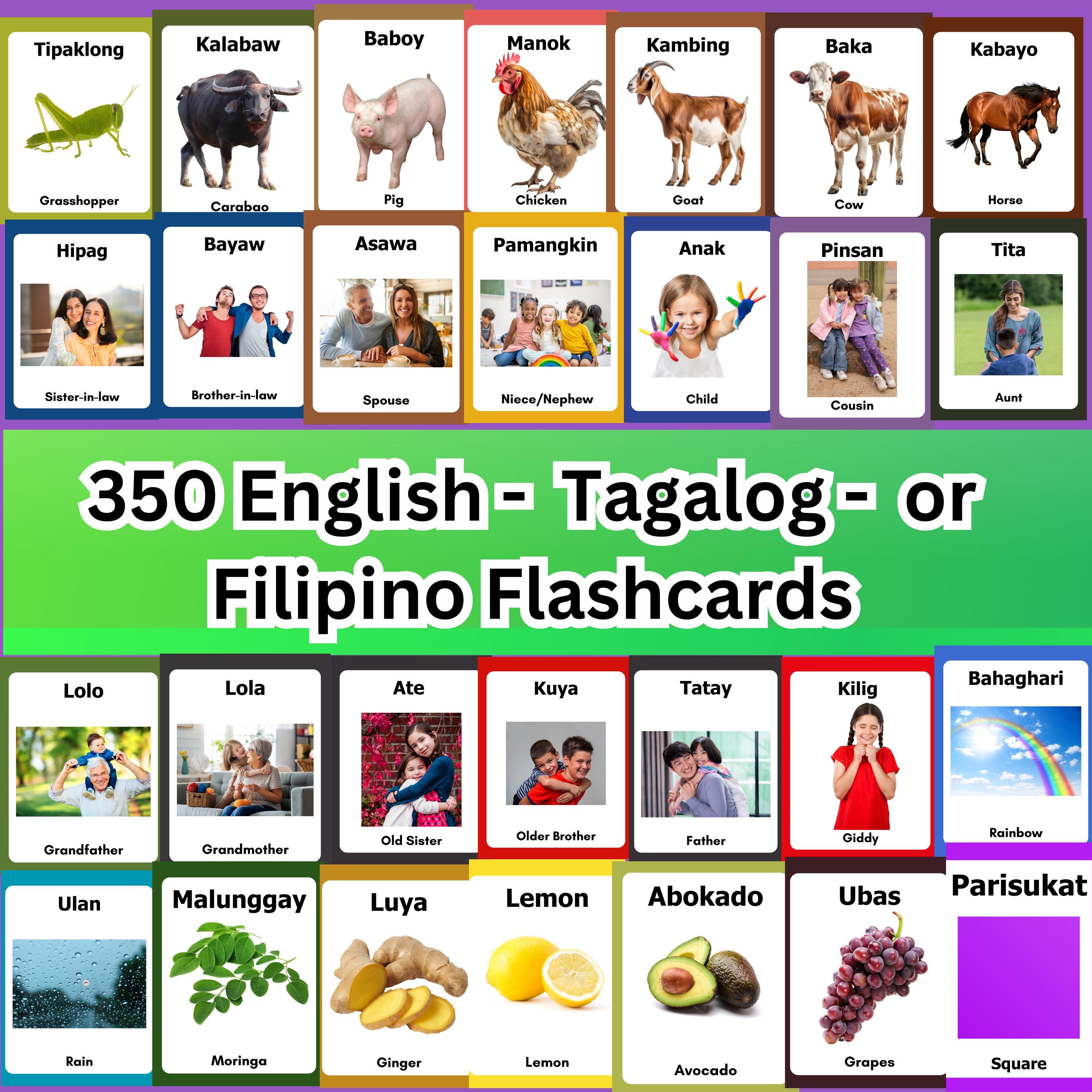 Tagalog English Flashcards: Bilingual Learning for Kids (PDF Download ...