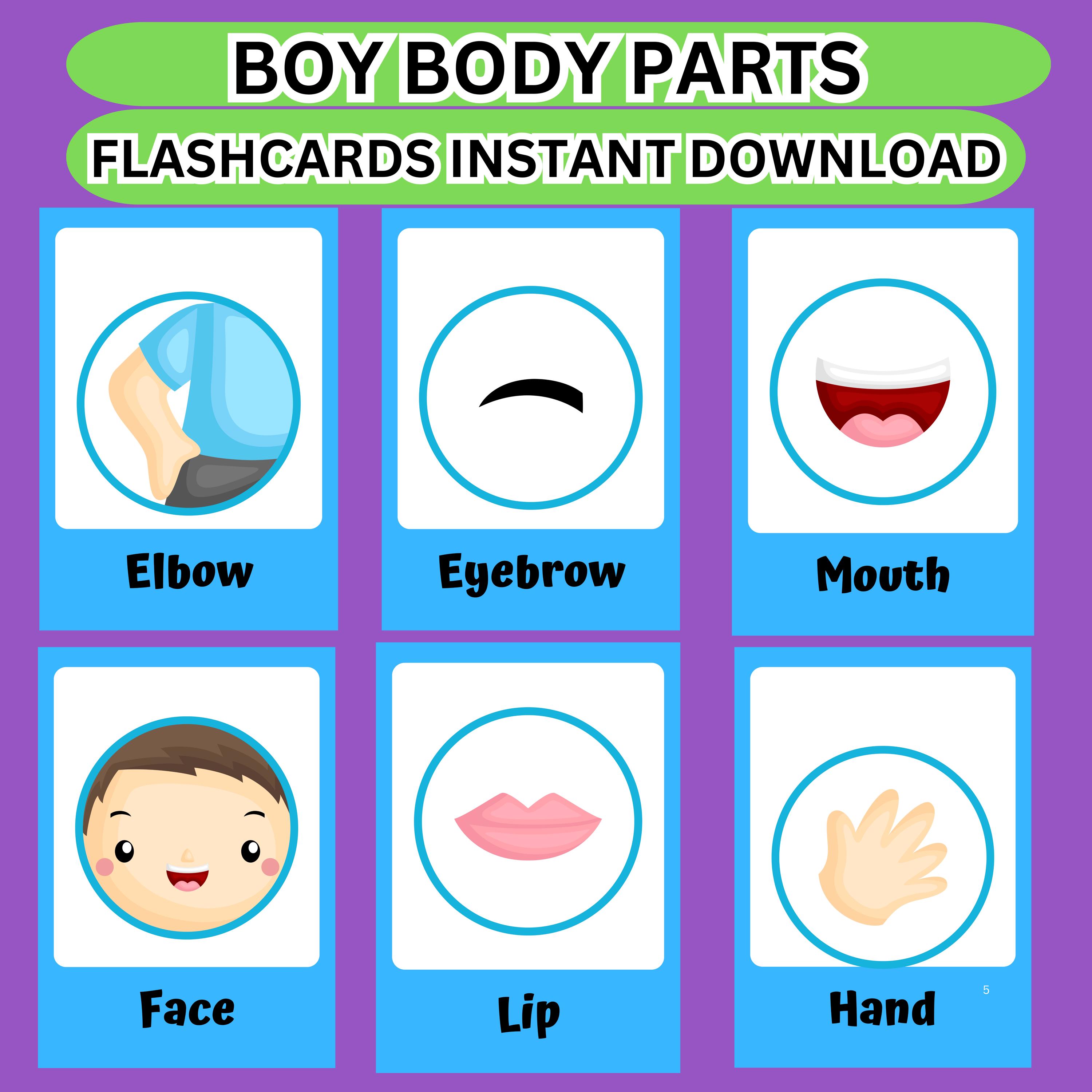 Boy Body Parts Flashcards for Kids Learning Body Part for Kids ...