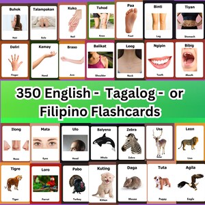 Tagalog English Flashcards: Bilingual Learning for Kids (PDF Download ...