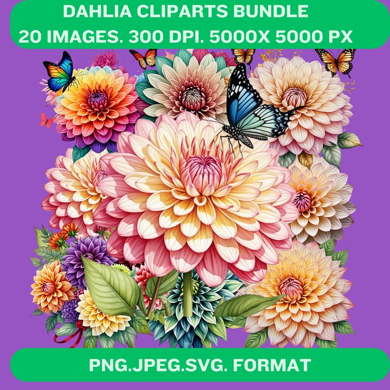 Dahlia Clipart Dahlia Flowers Dahlia PNG Dahlia SVG Dahlia JPEG Flower ...