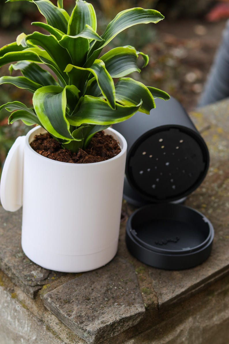 Wall-mounted Planter for 4-inch Plants - Modern Vertical Garden Decor ...