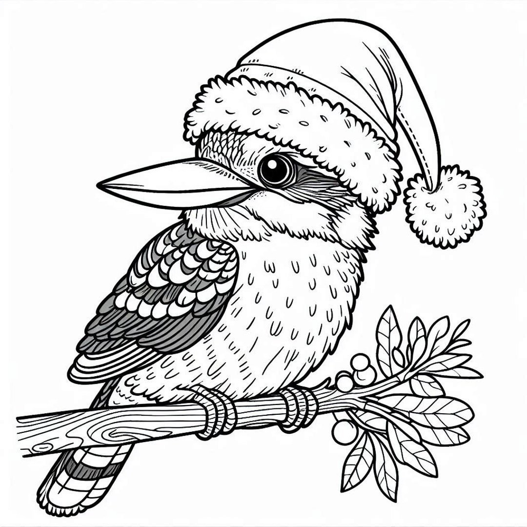 Kookaburra Christmas Colouring Sheet - Etsy
