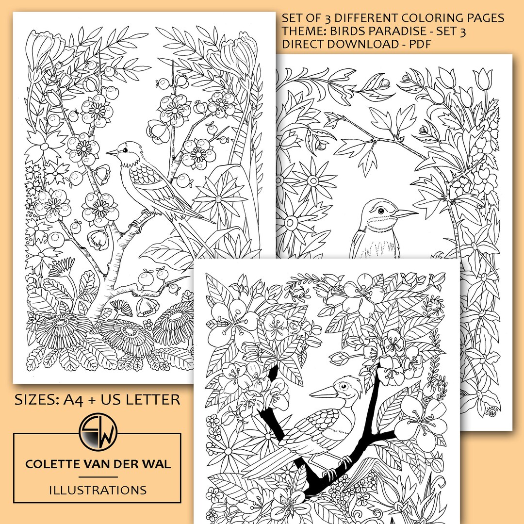 Whimsical Bird Coloring Pages - Set of 3 Hand-illustrated Designs ...