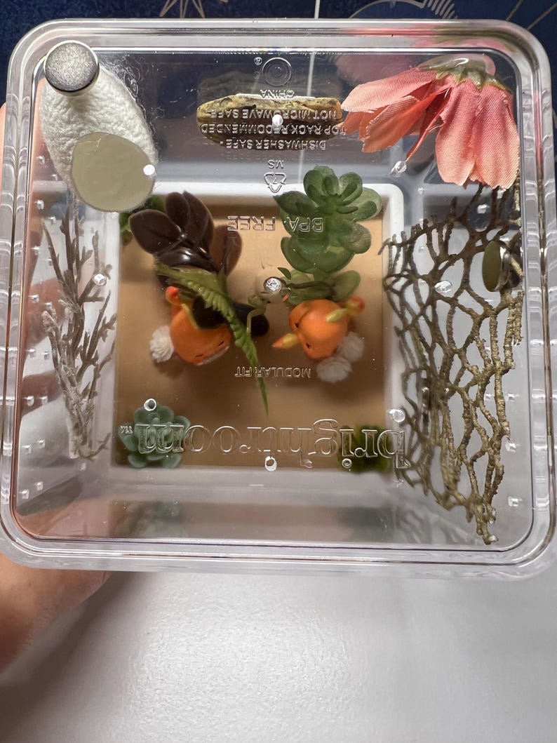 Jumping Spider Enclosure 4x4x4 Chibi Charmander Themed Arboreal ...