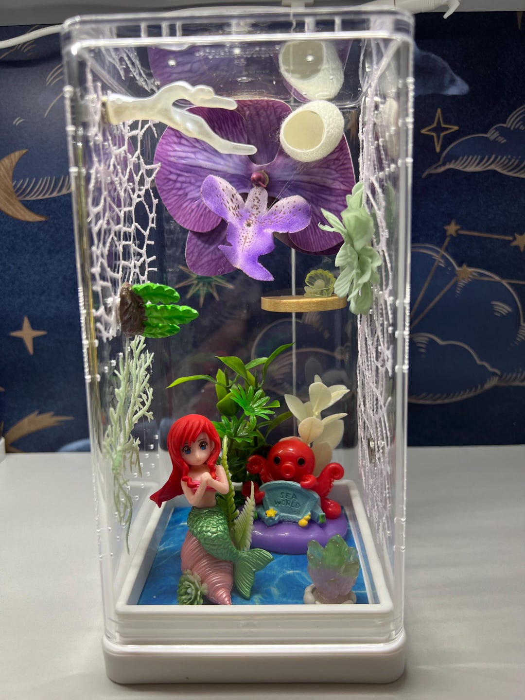 Jumping Spider Enclosure 4x4x8 Mermaid Theme, Under the Sea Themed ...