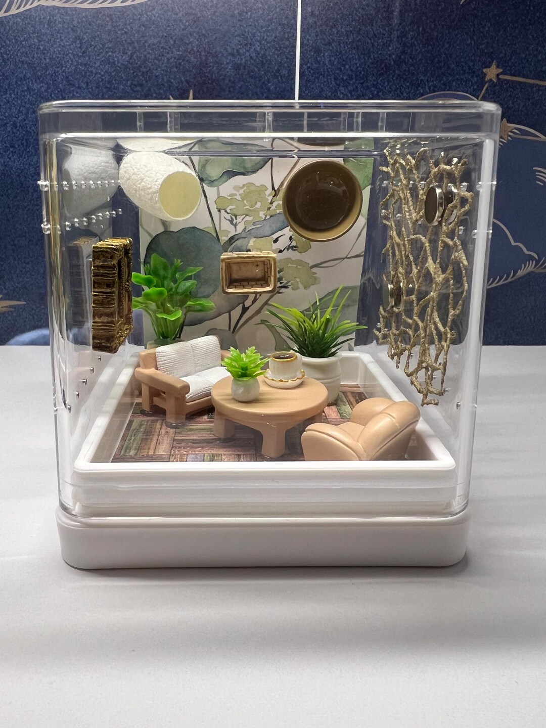 Jumping Spider Enclosure 4x4x4 Boho Living Room Theme, Sitting Area ...