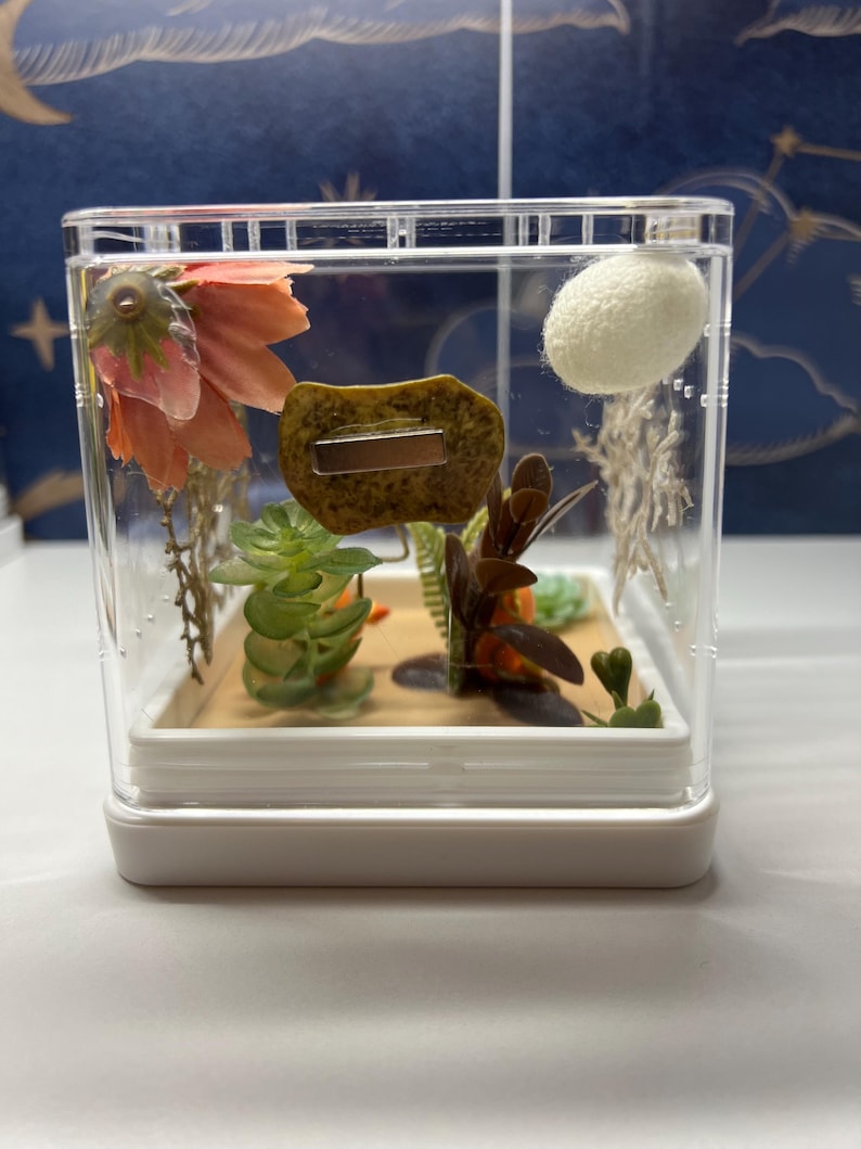 Jumping Spider Enclosure 4x4x4 Chibi Charmander Themed Arboreal ...