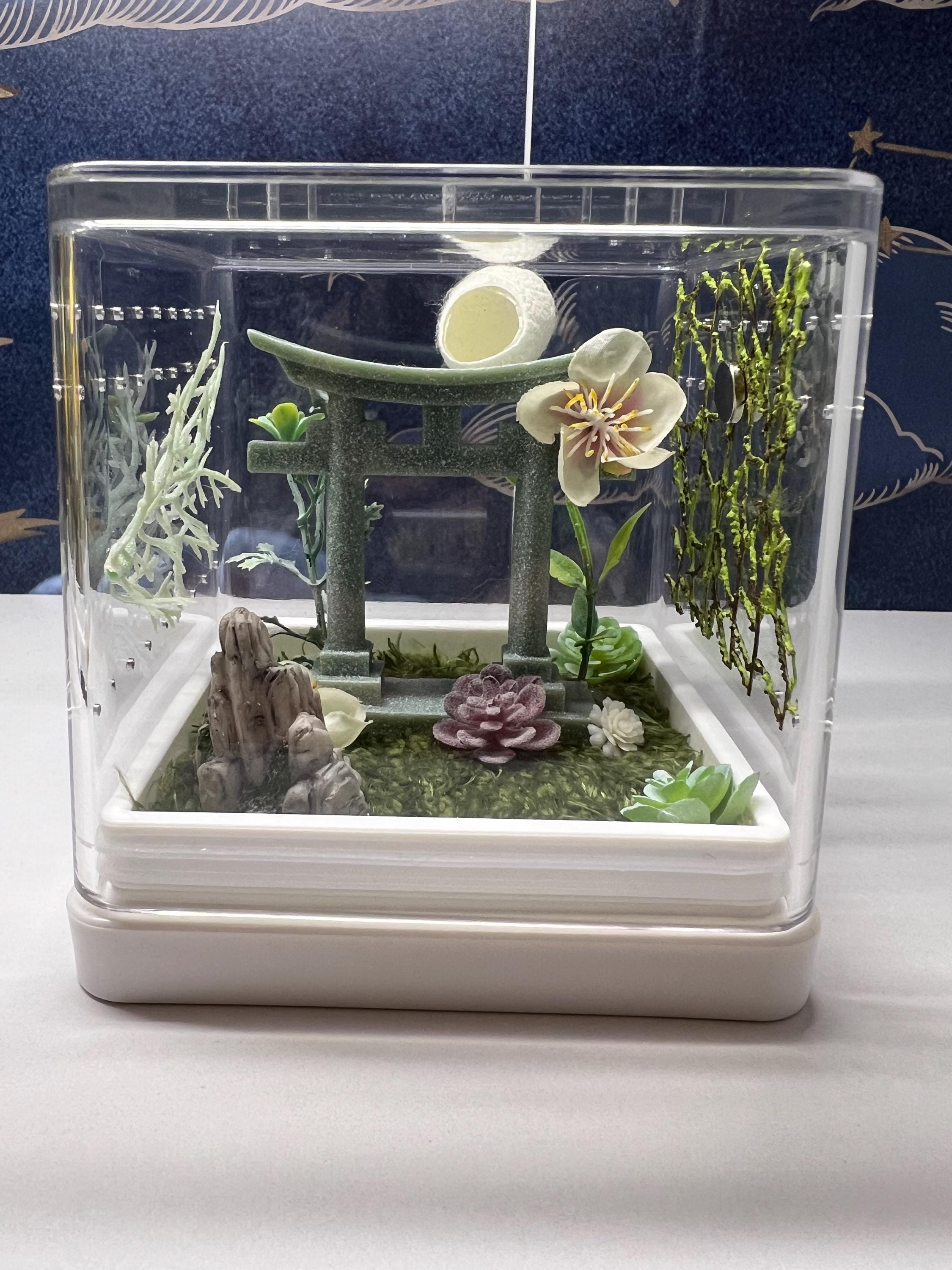 Jumping Spider Enclosure, 4x4x4 Japanese Themed Arboreal Arachnid ...