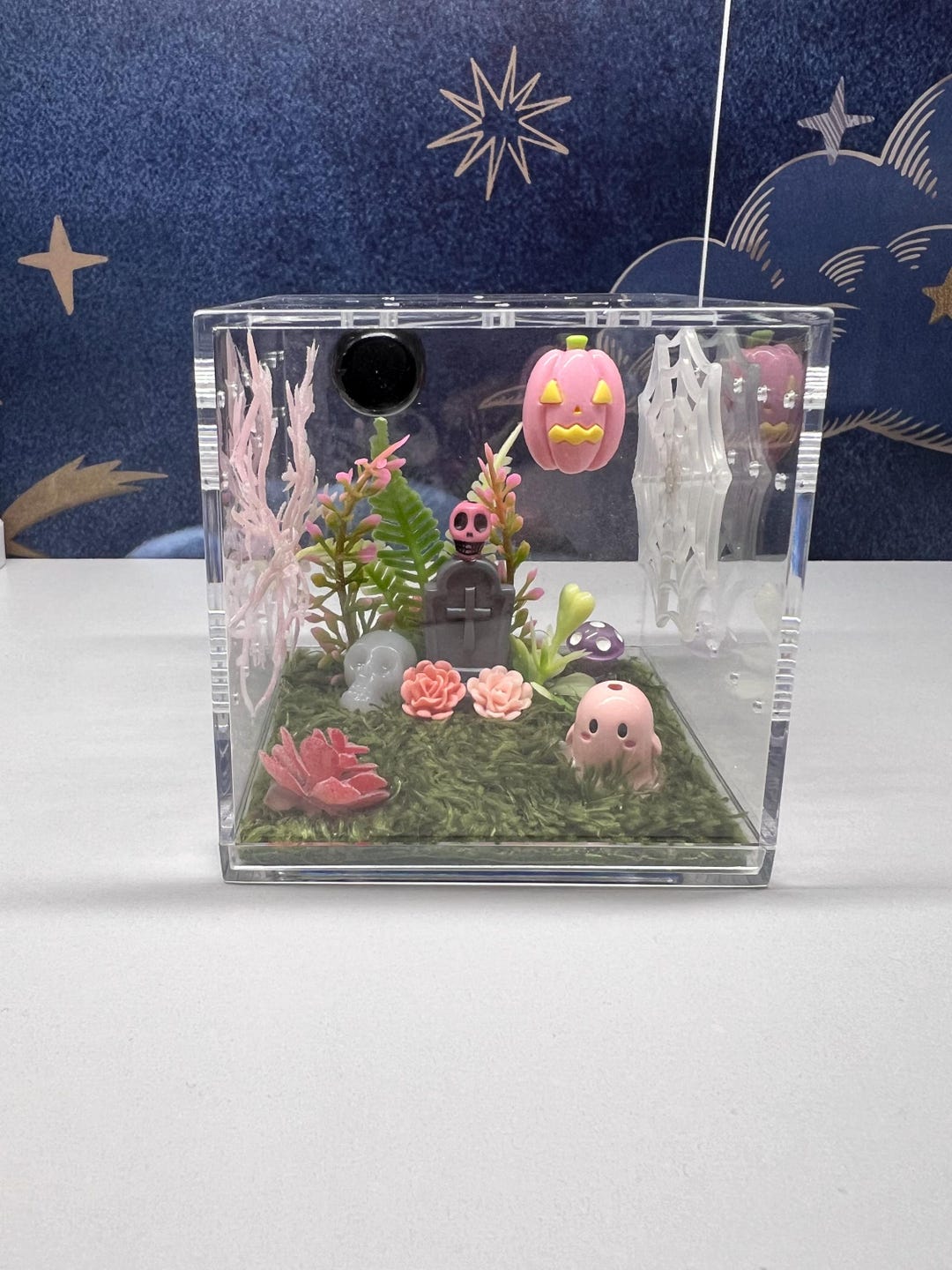 Jumping Spider Enclosure 3x3x3 Spooky Kawaii Arboreal Arachnid Habitat ...