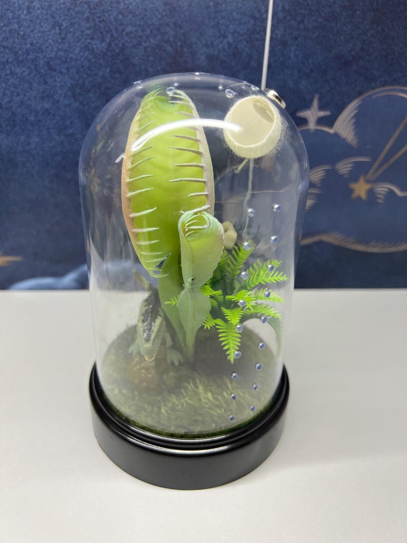 Jumping Spider Enclosure, Cloche Dome Enclosure, Dinosaur Themed Spider ...