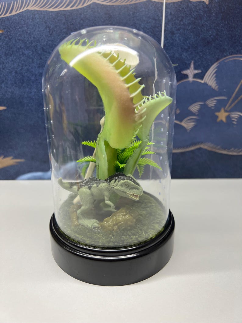 Jumping Spider Enclosure, Cloche Dome Enclosure, Dinosaur Themed Spider ...