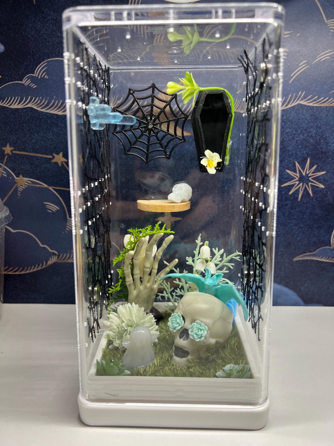 Jumping Spider Enclosure 4x4x8 Spooky Pastel Blue Cemetery Theme ...