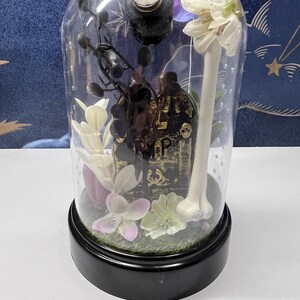Jumping Spider Enclosure, Cloche Dome Enclosure, Spooky Halloween ...
