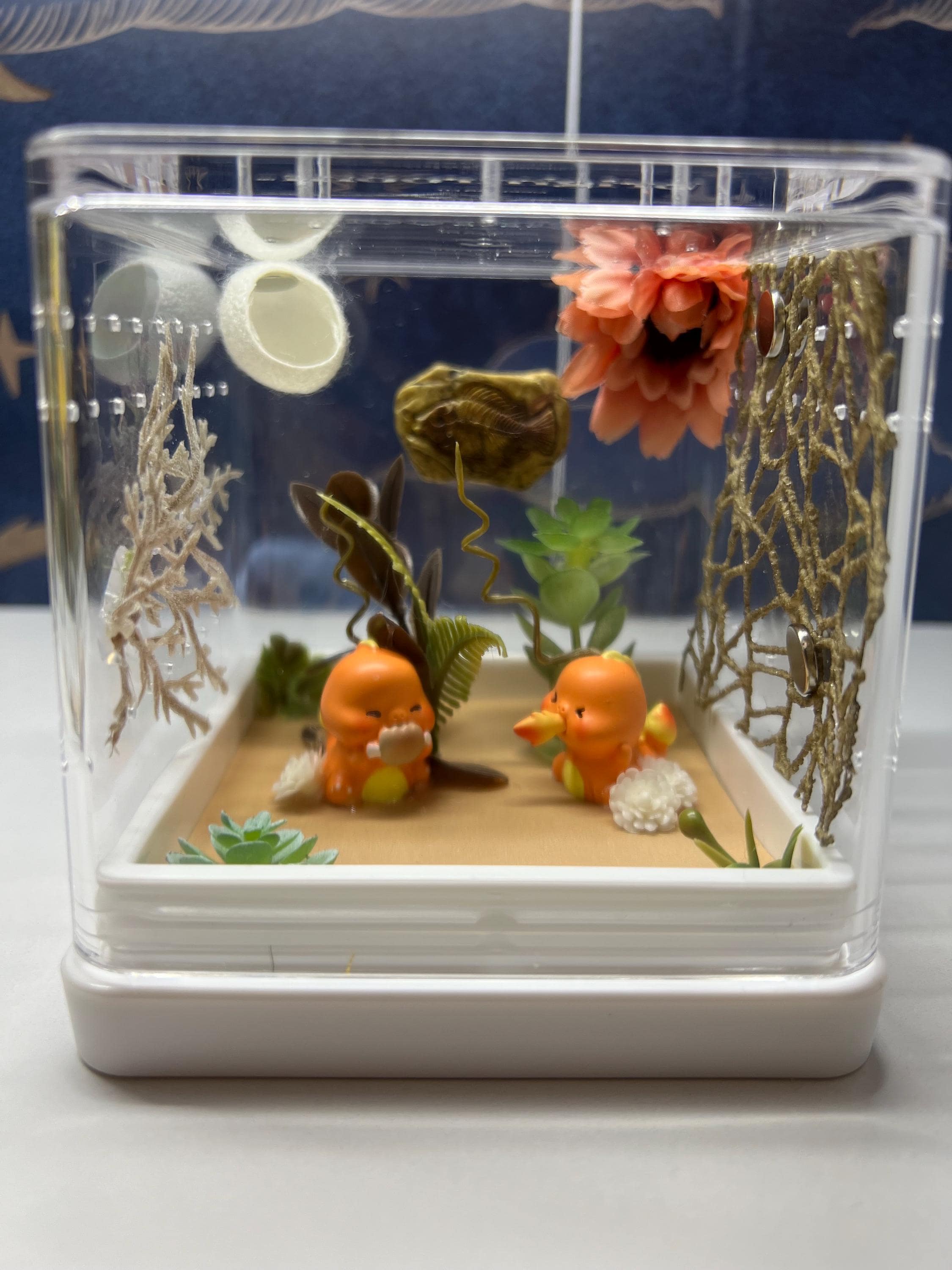 Jumping Spider Enclosure 4x4x4 Chibi Charmander Themed Arboreal ...