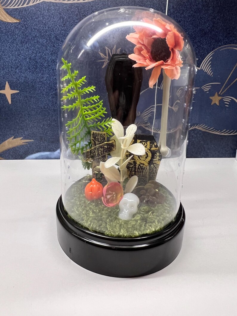 Jumping Spider Enclosure, Cloche Dome Enclosure, Spooky Halloween ...