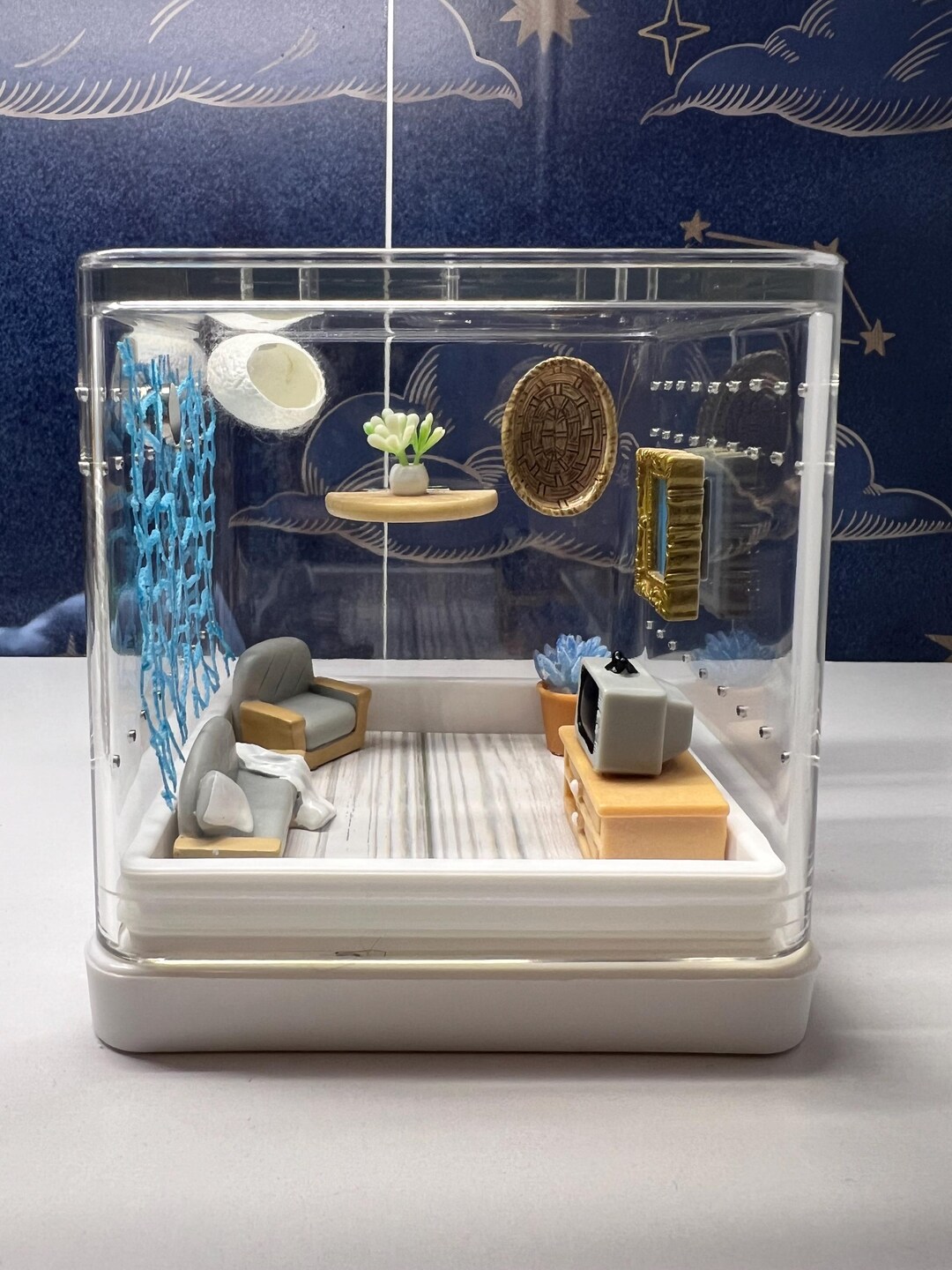 Jumping Spider Enclosure 4x4x4 Retro Blue and Grey Living Room Theme ...