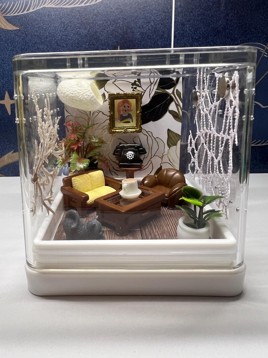 Jumping Spider Enclosure 4x4x4 Boho Living Room Theme, Sitting Area ...