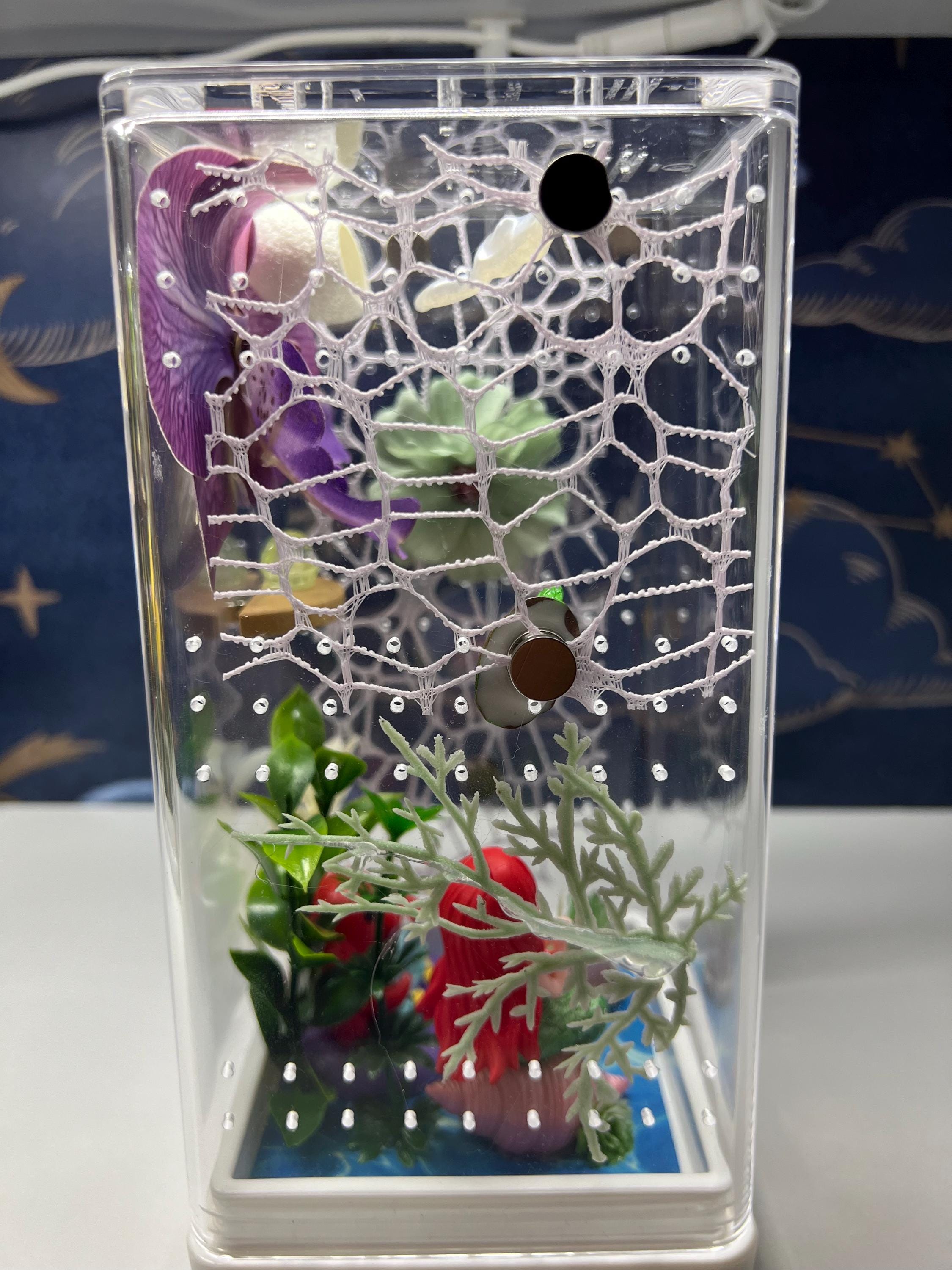 Jumping Spider Enclosure 4x4x8 Mermaid Theme, Under the Sea Themed ...