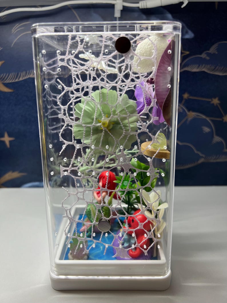 Jumping Spider Enclosure 4x4x8 Mermaid Theme, Under the Sea Themed ...