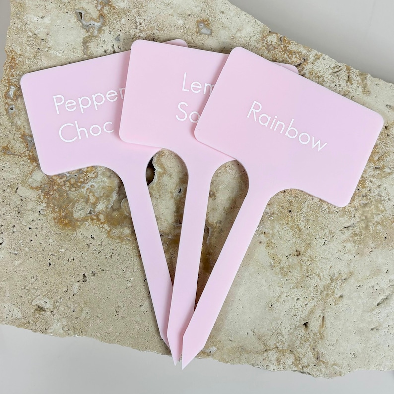 Acrylic Ice Cream Flavour Sticks | Reusable Gelato and Dessert Flavour ...