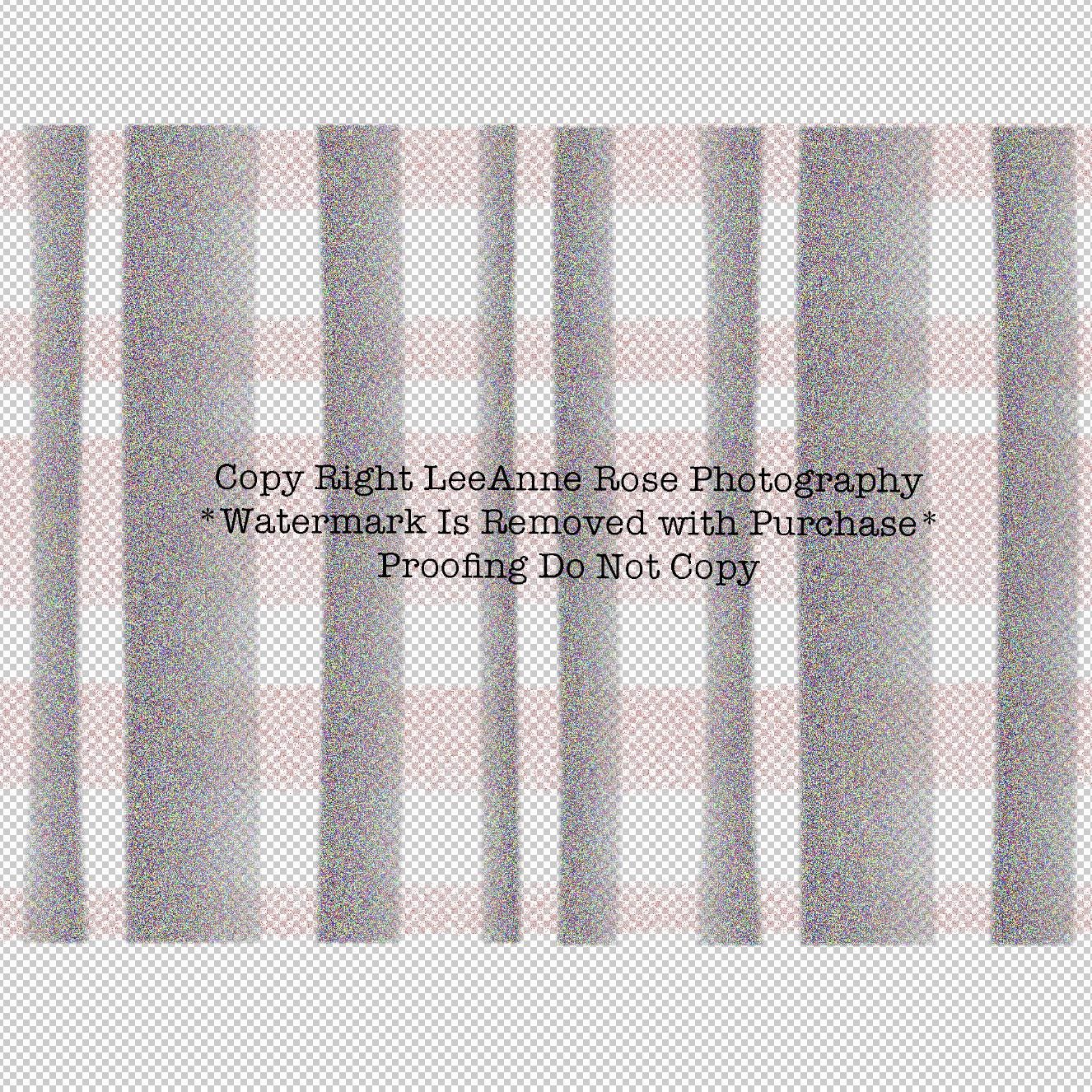 Ai Resist Watermark for Photographer's Digital Online Galleries - Etsy