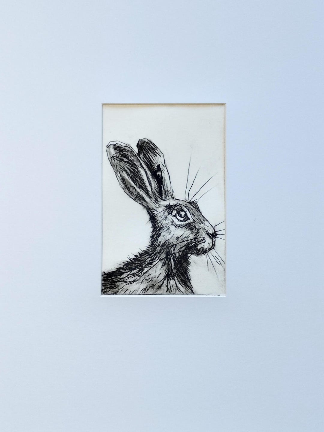 Hare in Profile, Limited Etching of 10 Copies, Handmade Art Print ...