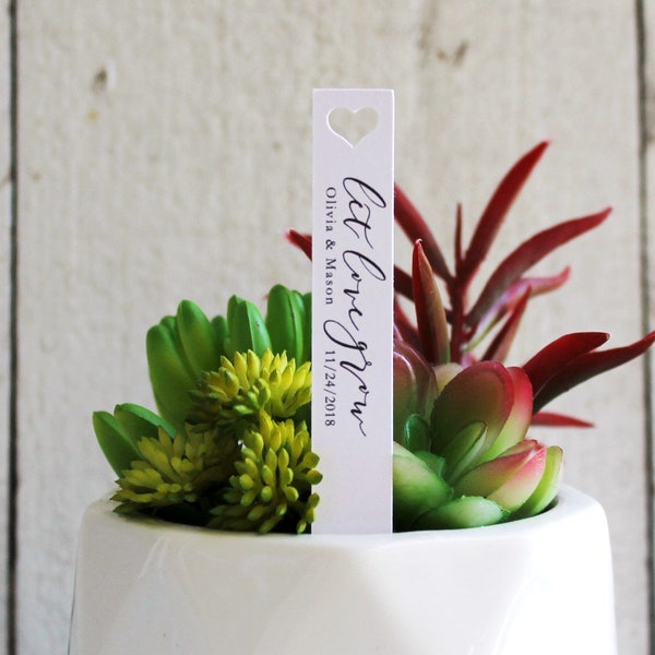 Succulent Wedding Favor - Etsy