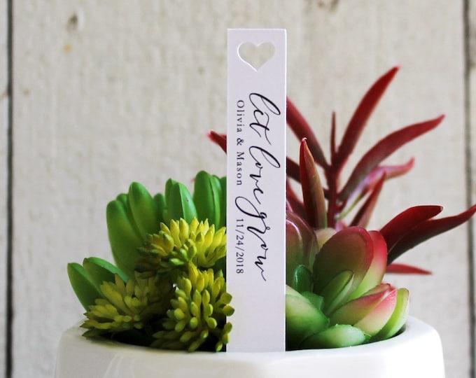 Let Love Grow Succulent Tag | Succulent Stakes | Wedding Favors ...