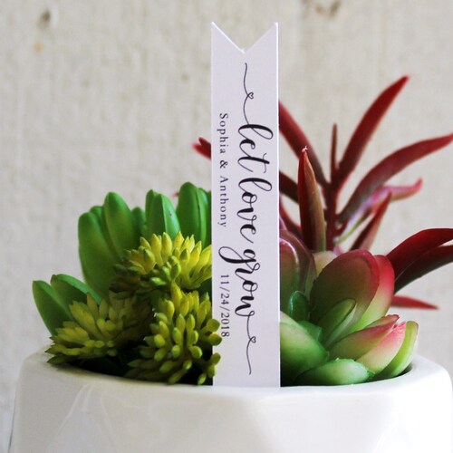 Succulent Favor Tags Bridal Shower Editable Template Let Love - Etsy