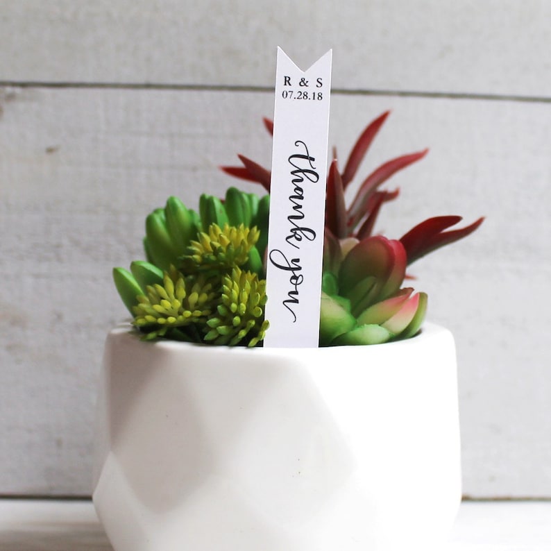Thank You Succulent Tag Succulent Stakes Wedding Favors - Etsy