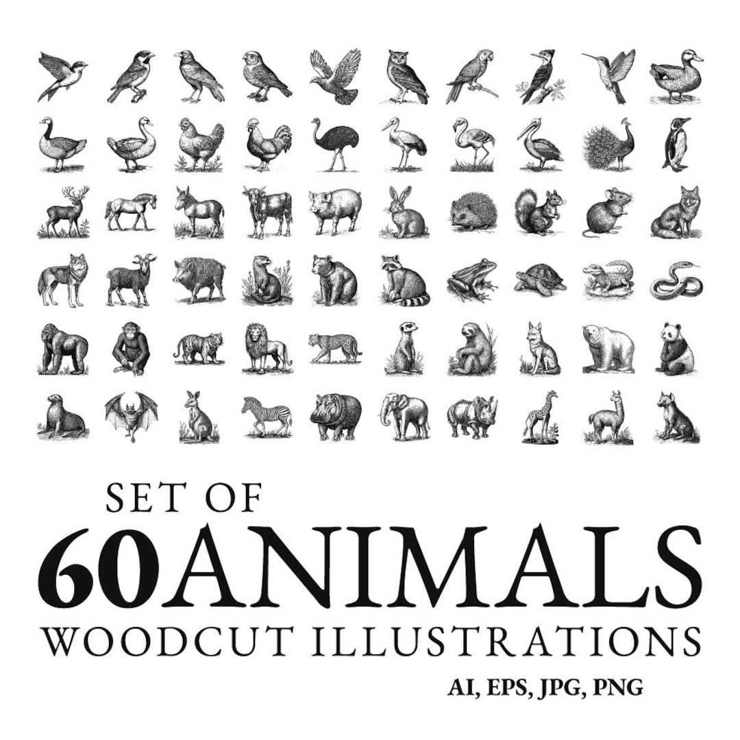 Set of Woodcut Illustrations of Animals. Vintage Grunge Vector Design ...