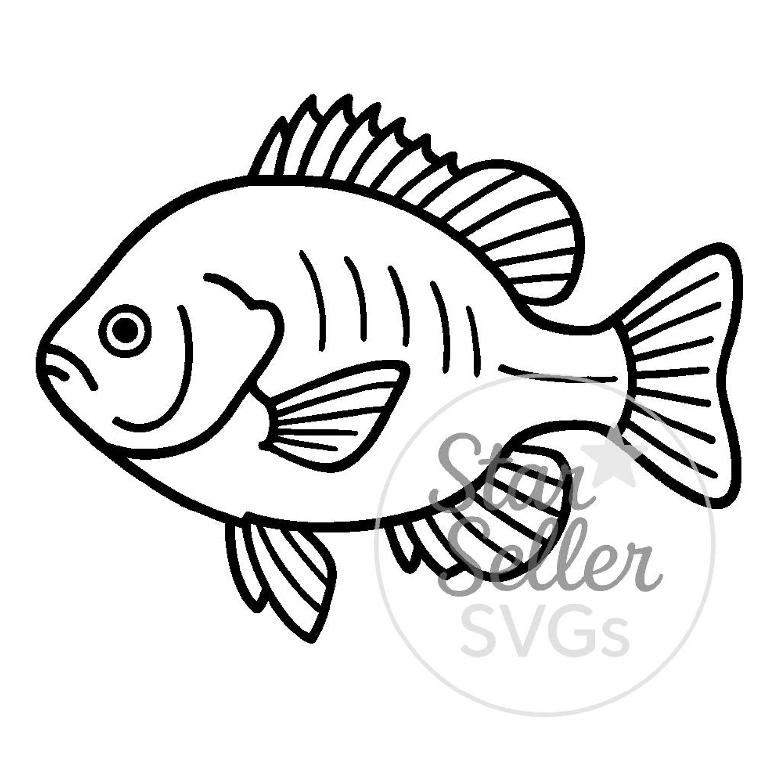 Bluegill Fish SVG Bundle - Etsy