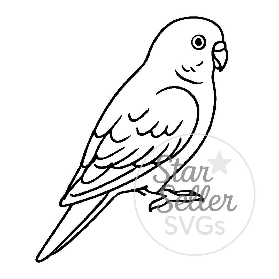 Parakeet SVG Bundle - Etsy