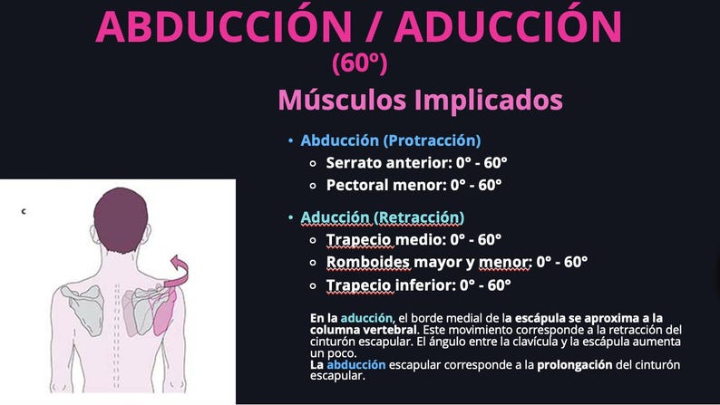 Anatomy, Human, Body, Muscle, Flexion, Joint, Trapezius, Ankle ...