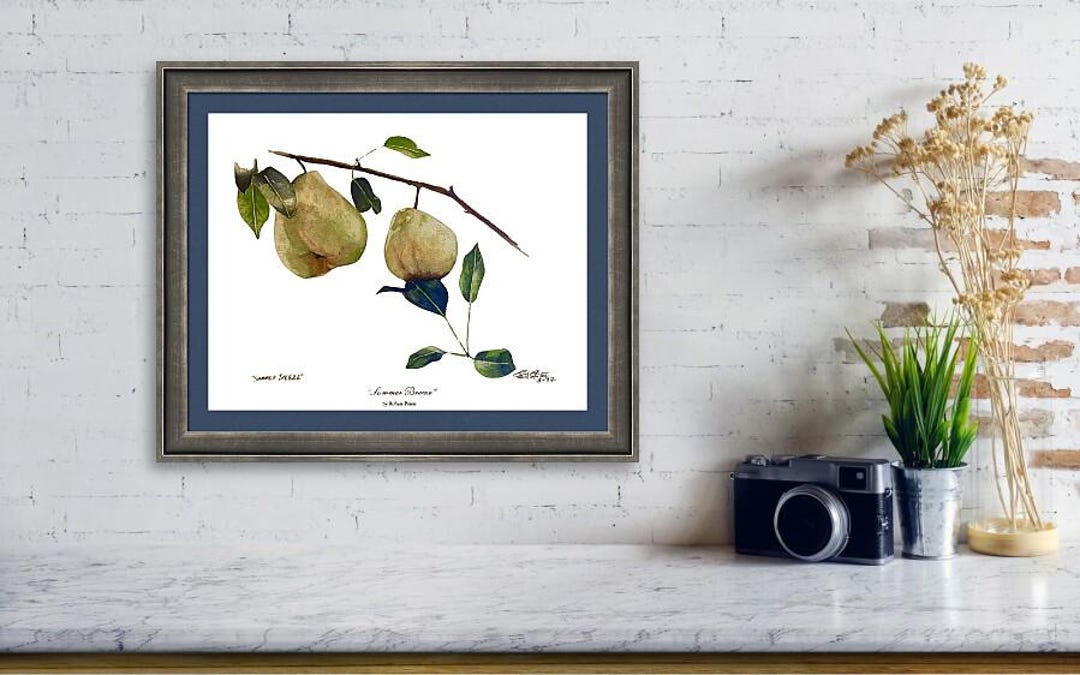 Pear Print- 11"x14" Print / Pear Art / Pear Poster / Home Décor ...