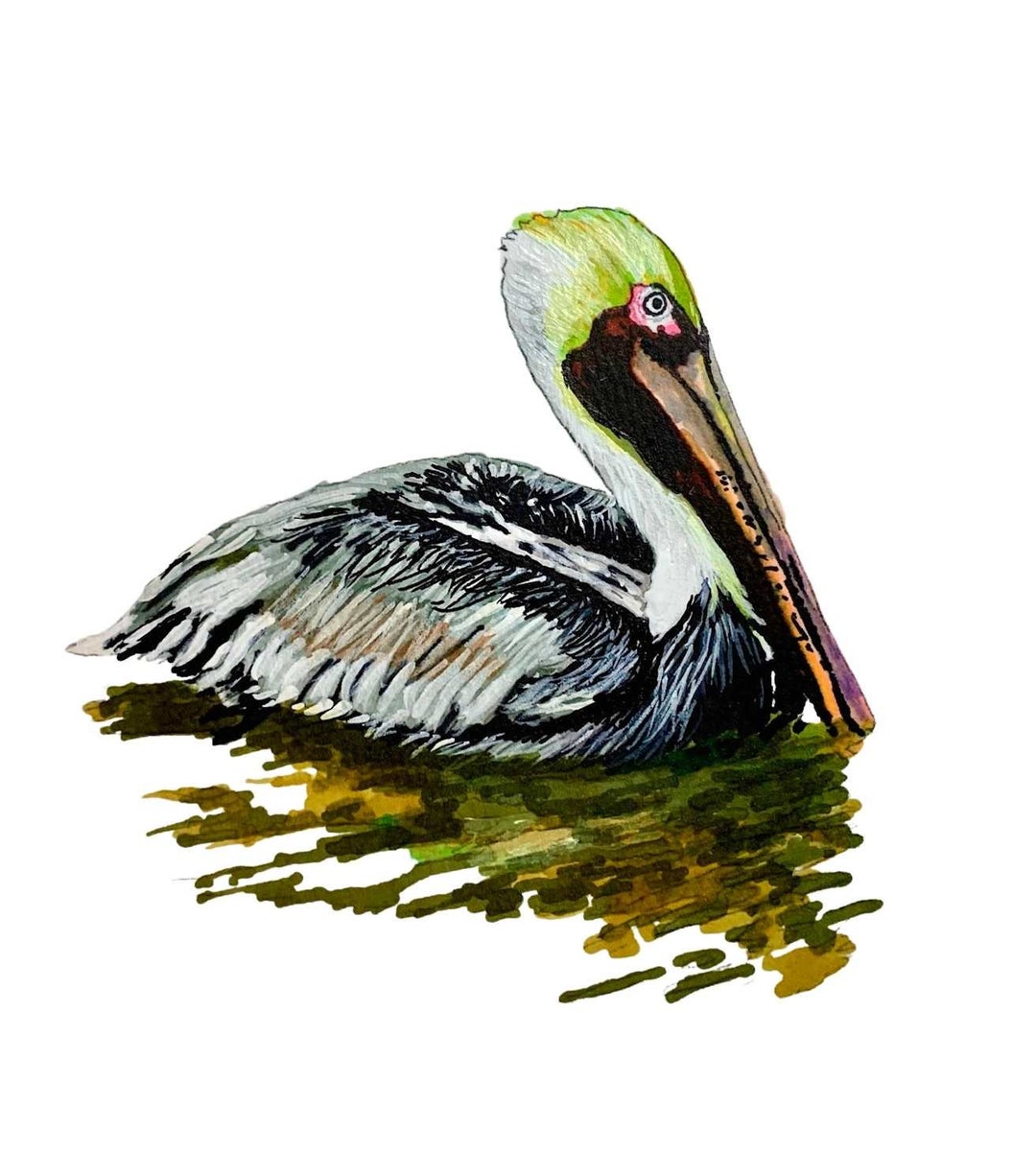 Pelican Painting Digital Download: Transparent PNG for Commercial Use ...