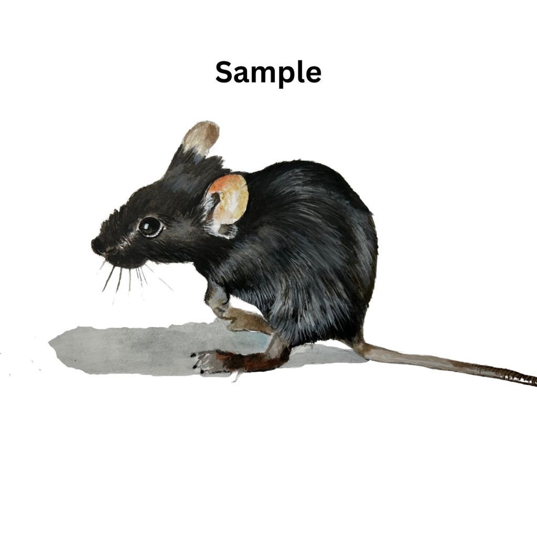 Watercolor Rat Print: High-resolution Rodent Painting (digital Download ...