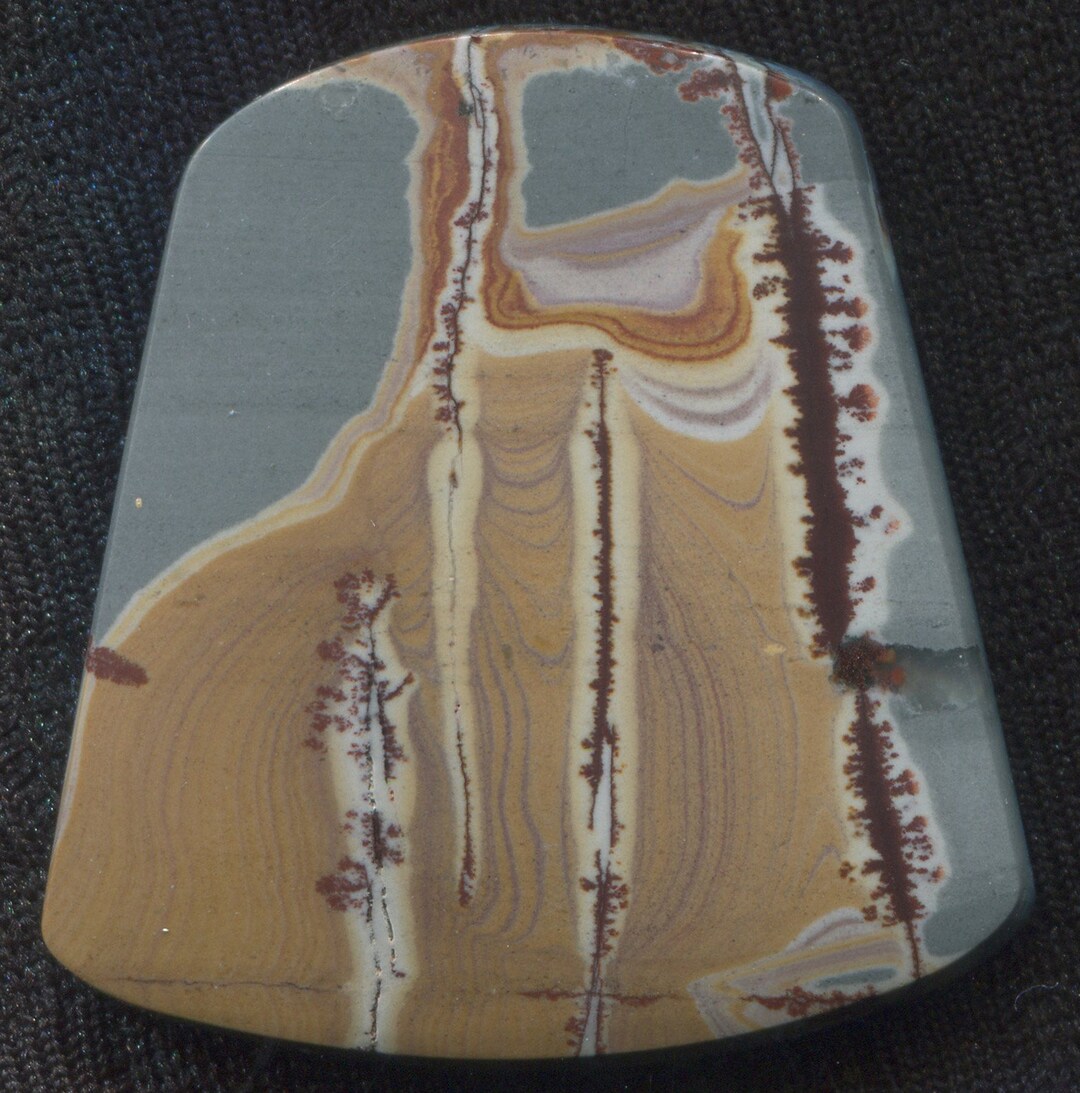 Complex Sonora Dendritic Jasper Designer Cabochon From Mexico - Etsy