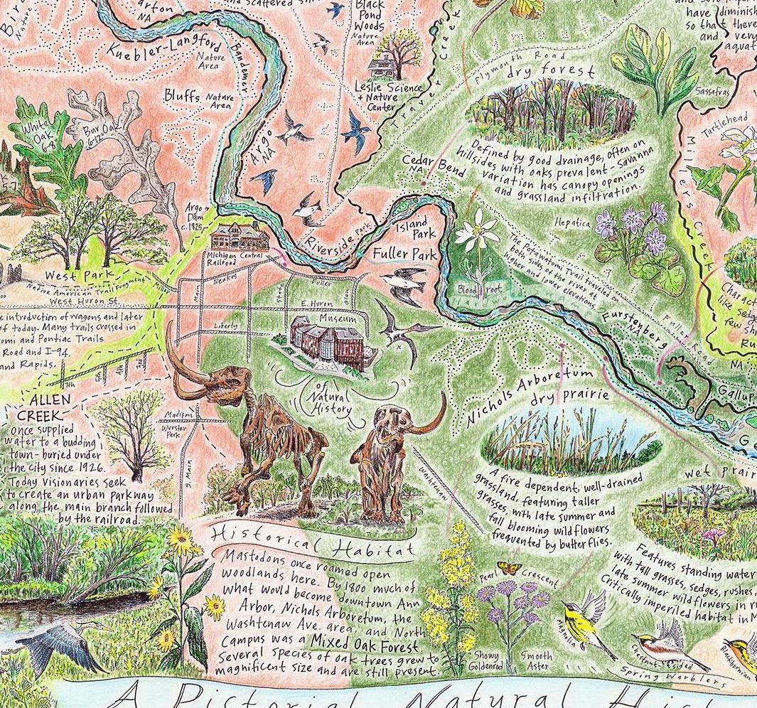 Natural Ann Arbor Map - Etsy
